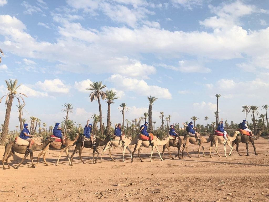Marrakech Camel Ride - Ecolodge Adventures